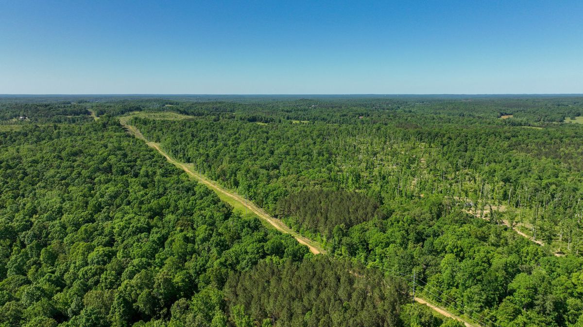 Highly Managed Rolling Harwood Timber Farm | Whitetail Properties