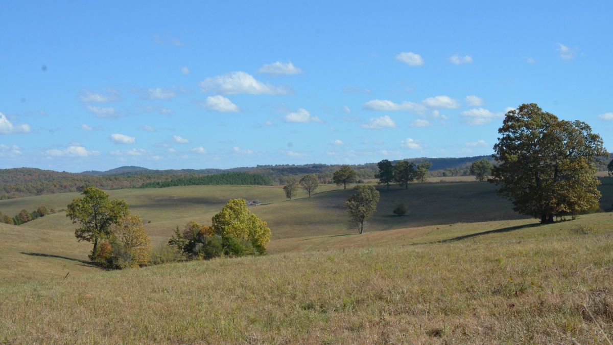 Large Pasture Farm With Abundant Water, Working Pens And Good Fence ...
