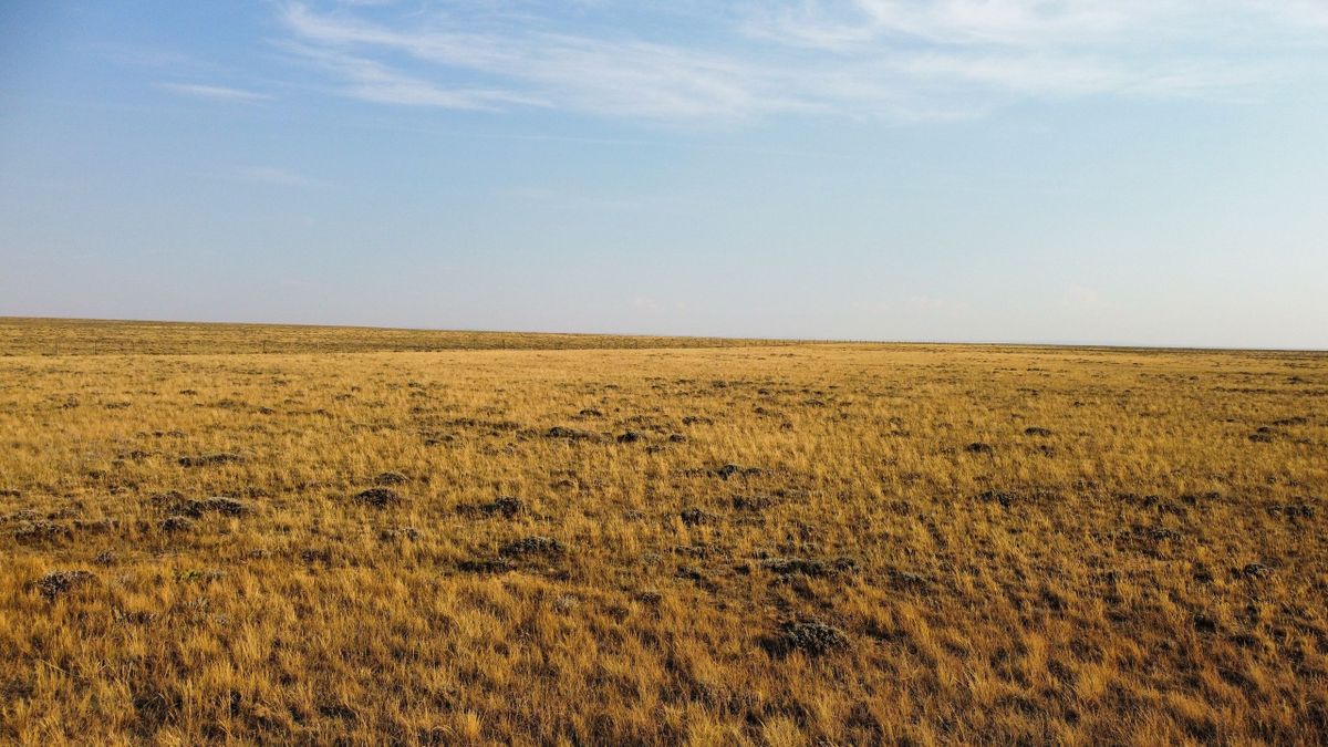 WyTex Ranch Recreational Property With Building Potential | Whitetail ...