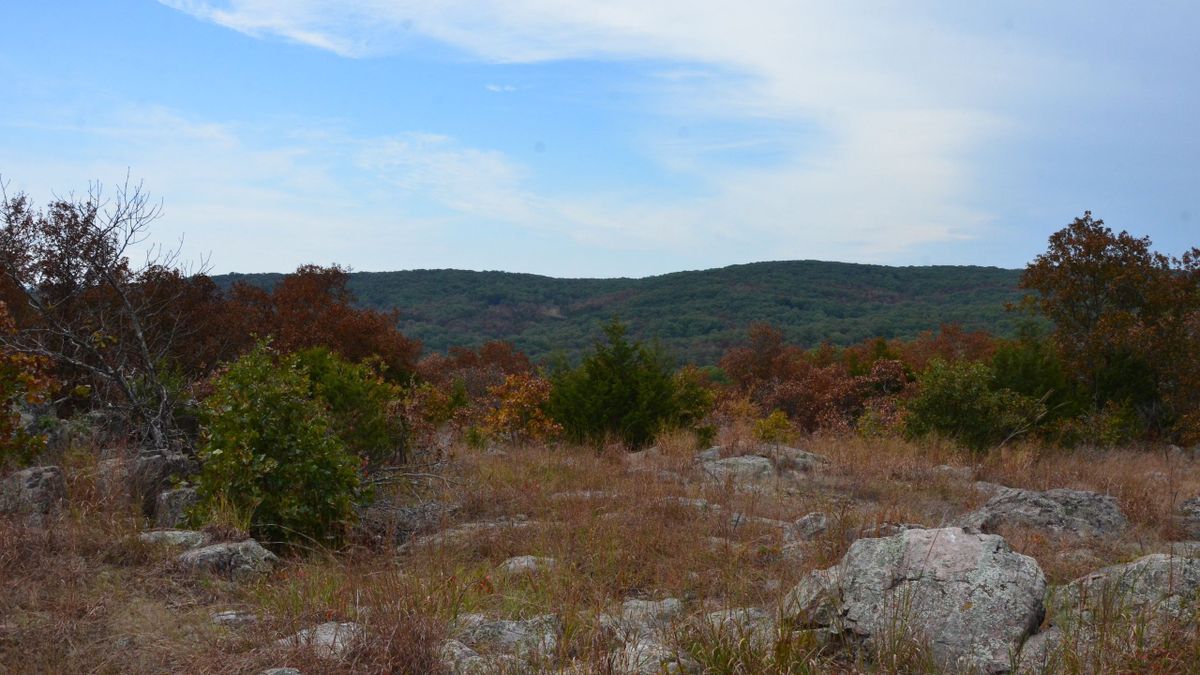 Diverse Recreational Farm On Blacktop With Open Ground And Cabin ...