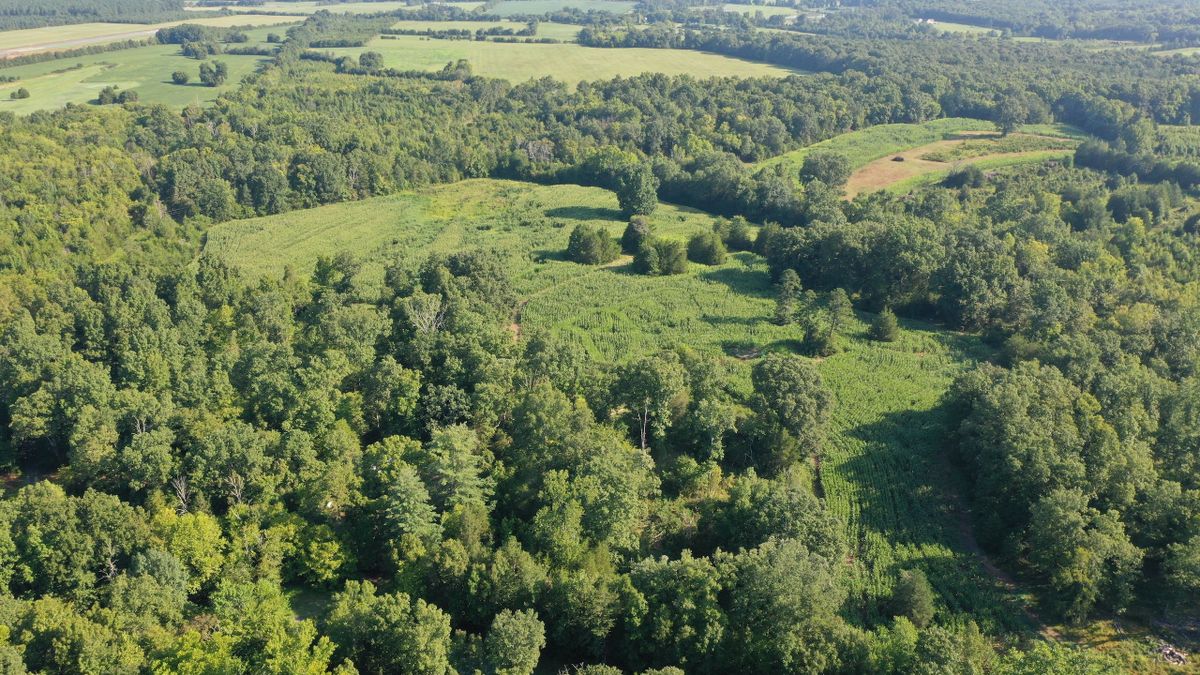 Hunters Paradise Retreat With Charming Home Near Farmville | Whitetail ...