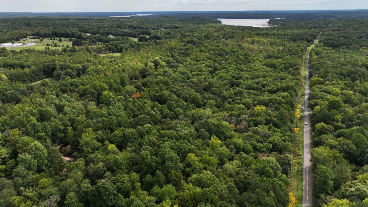 All Timber Hunting Tract Near Kentucky Lake | Whitetail Properties