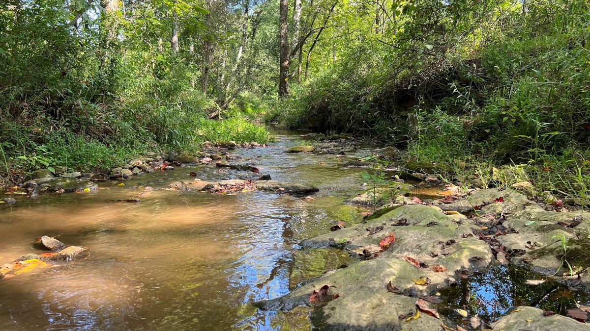 Timbered And Tillable Acreage With Loads Of Features | Whitetail Properties