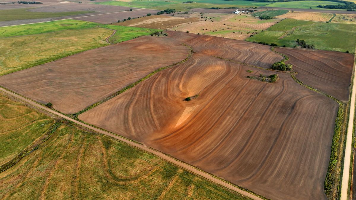 Exceptional Cropland Quarter Near Lincoln, KS | Whitetail Properties