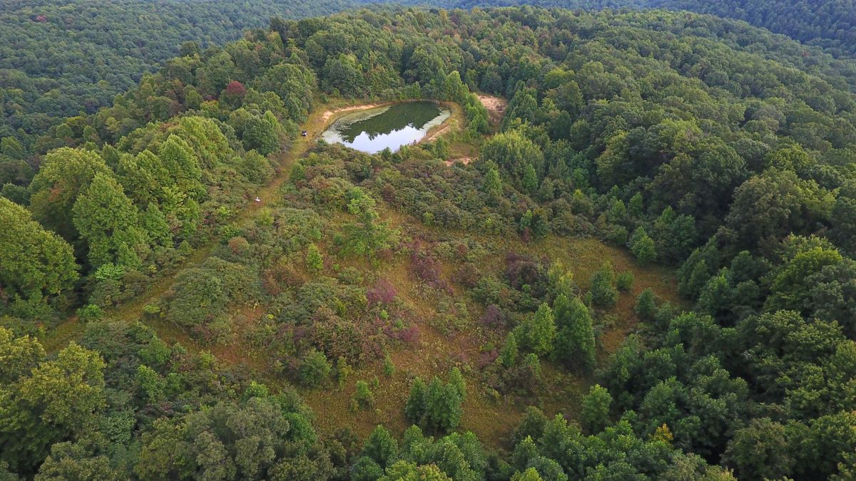 Excellent Hunting Property With A Large Pond In Northeast Kentucky ...