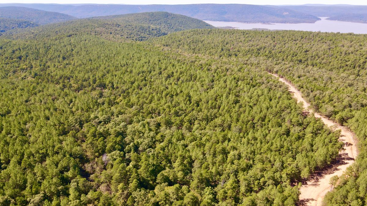 Eagles Nest Ranch | Whitetail Properties