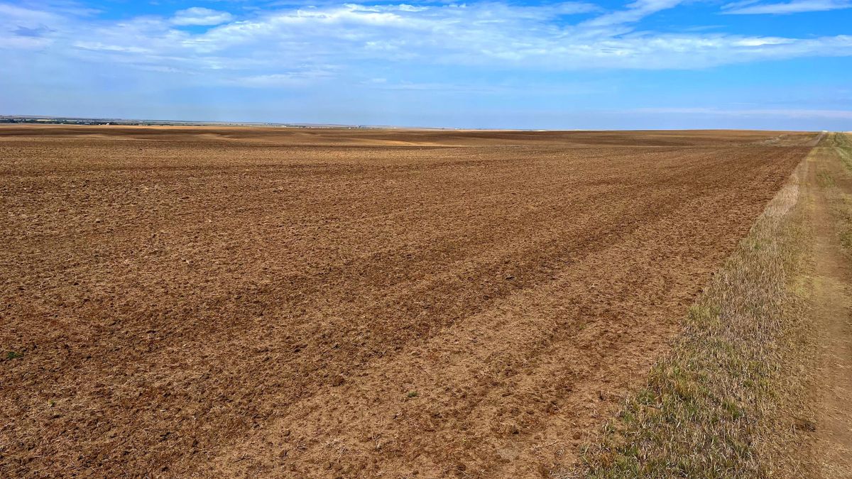 Cropland Quarter Southwest Of Burdett Kansas | Whitetail Properties