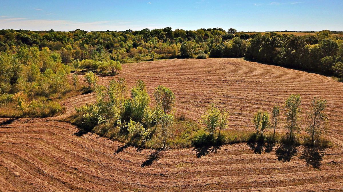Secluded Hunting, CRP, and Hay Farm Near Clarksdale | Whitetail Properties