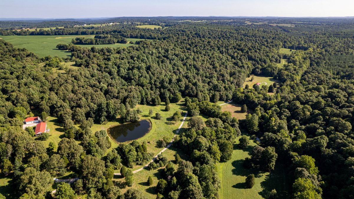 Spacious Home And Outbuildings On Diverse Hunting Tract | Whitetail ...