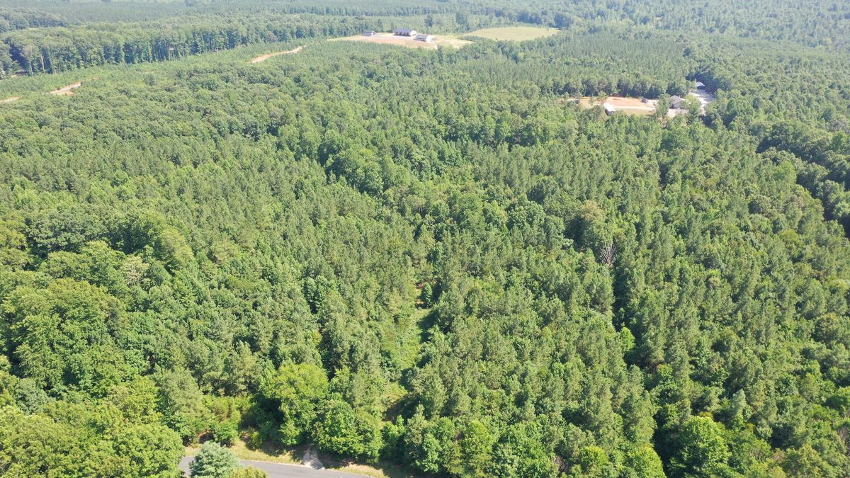 Large Wooded Building Tract Near Dillwyn VA | Whitetail Properties