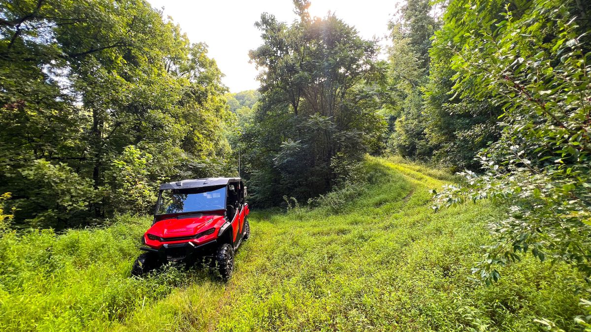 Expansive Hunting Tract With House Seat And Utilities | Whitetail ...