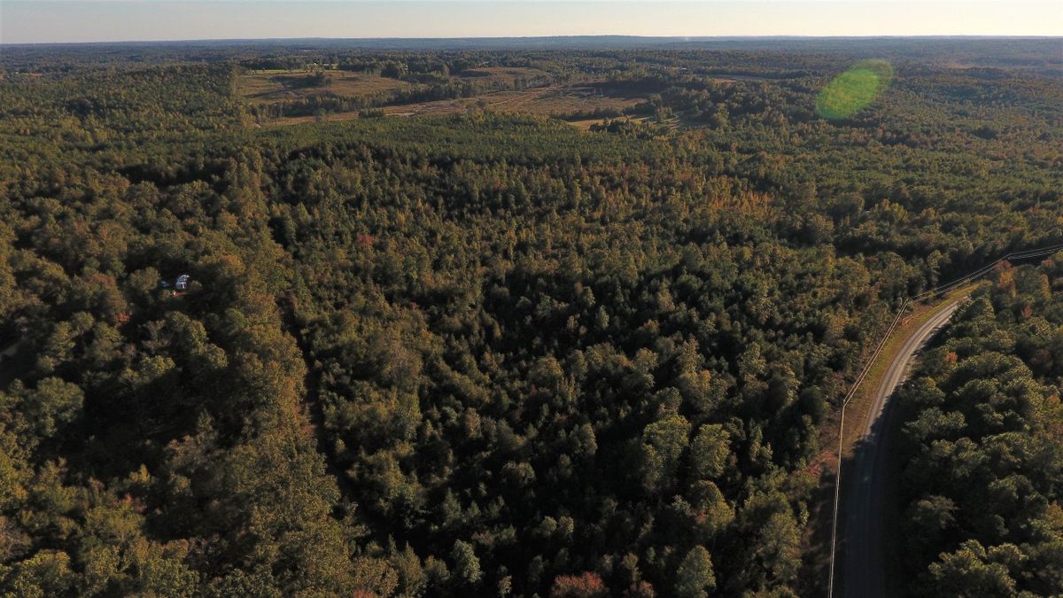 Hunting Or Homesite Tract With Road Frontage | Whitetail Properties