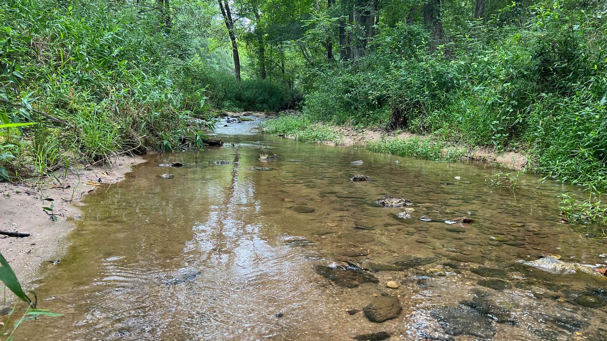 Vacant Land Tract With Abundance Of Tillable Ground | Whitetail Properties