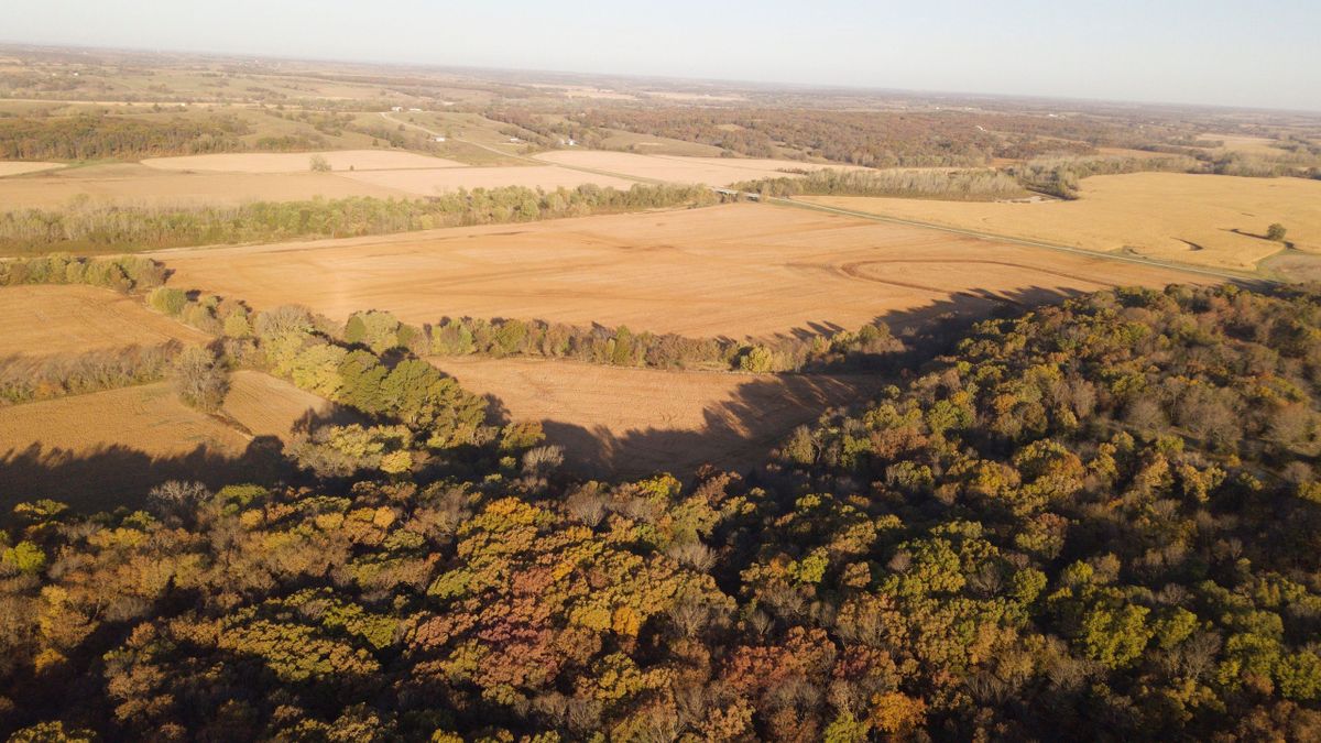 Hunting Farm With Income In QDM Neighborhood Of Northern MO | Whitetail ...