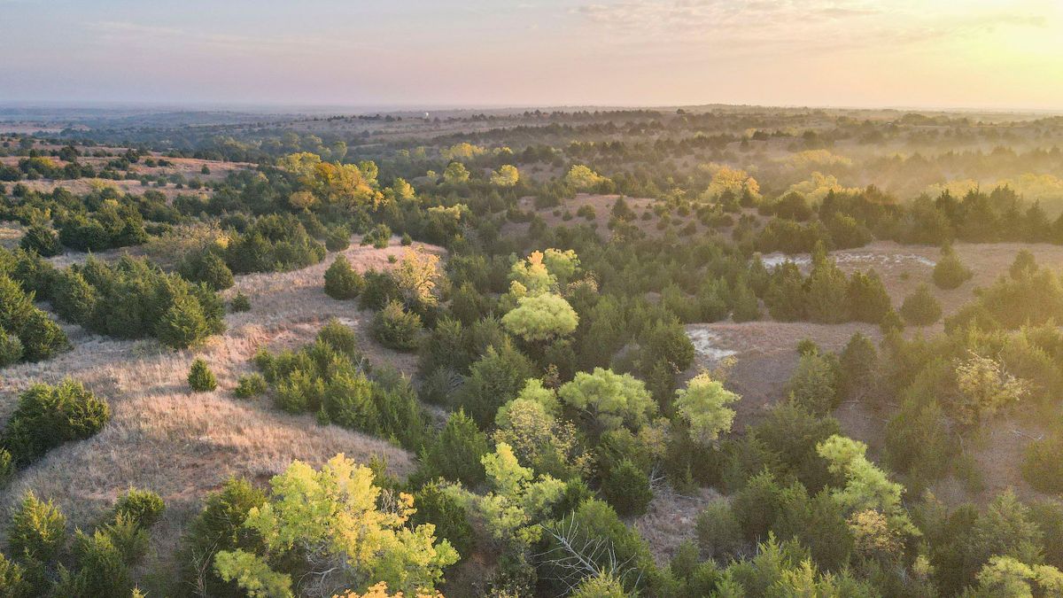 Gyp Hill Ranch In Southern Kansas | Whitetail Properties