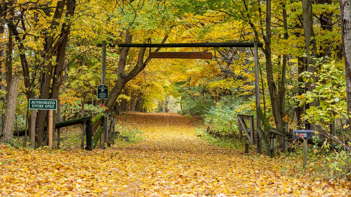 Top End Hunting Preserve And Conservation Focused Property With ...