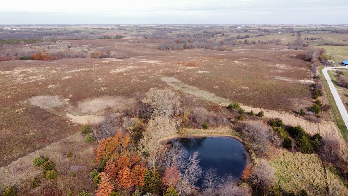 Combo Farm Near Little River Lake | Whitetail Properties