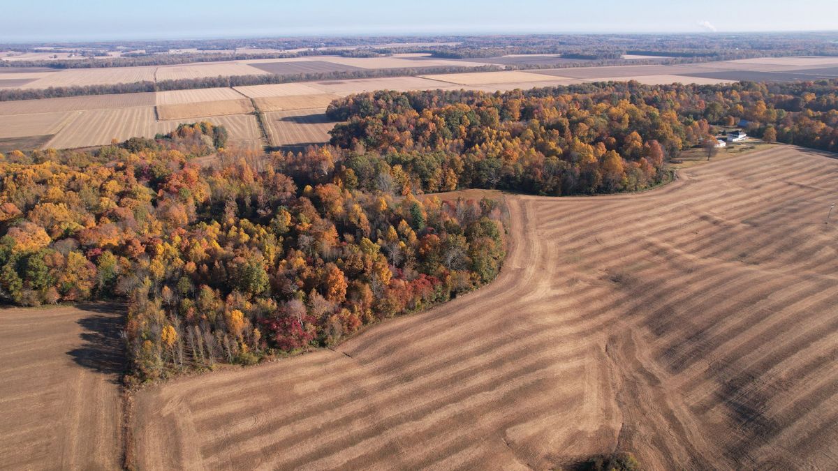 Incredible Turn-Key Hunting Property With New Furnished Cabin ...