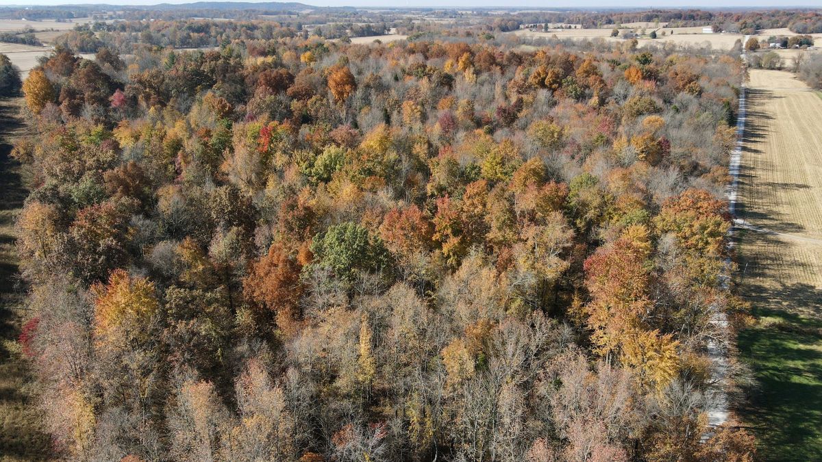 Exceptional Building And Hunting Tract In Desirable Area | Whitetail ...