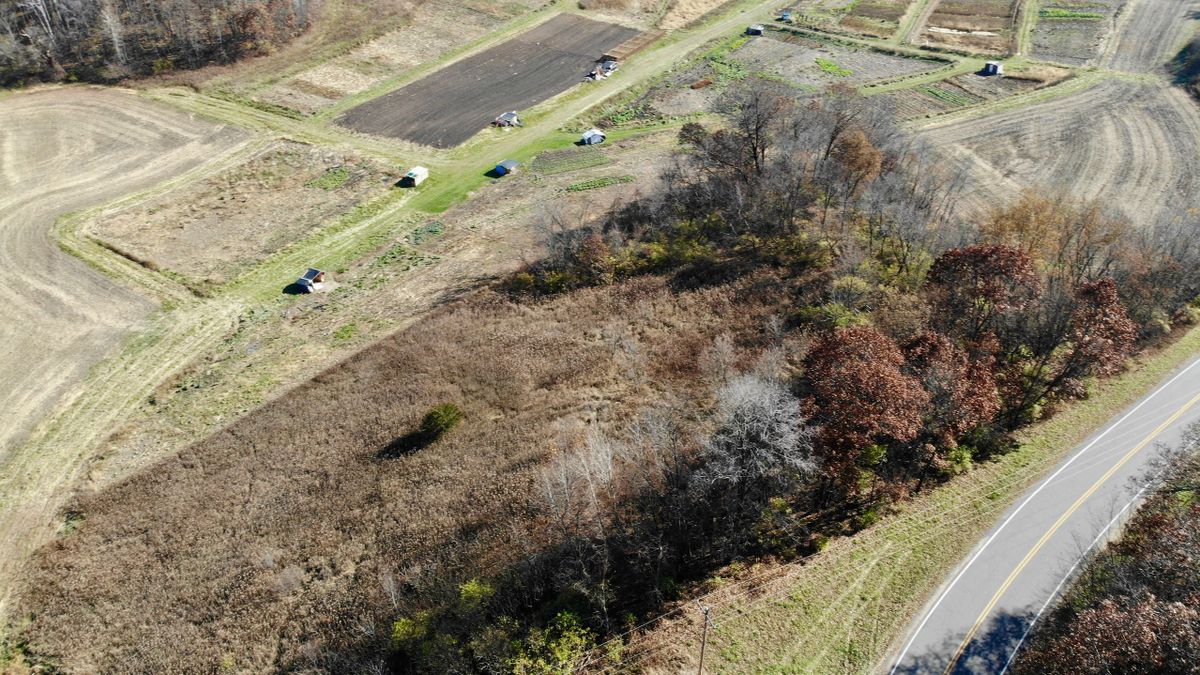 Rural Lot With Building Opportunities | Whitetail Properties