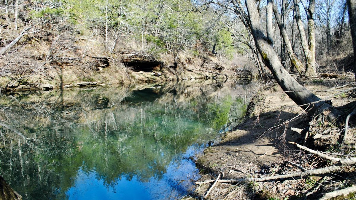 North Fork Cadron Creek Farm | Whitetail Properties