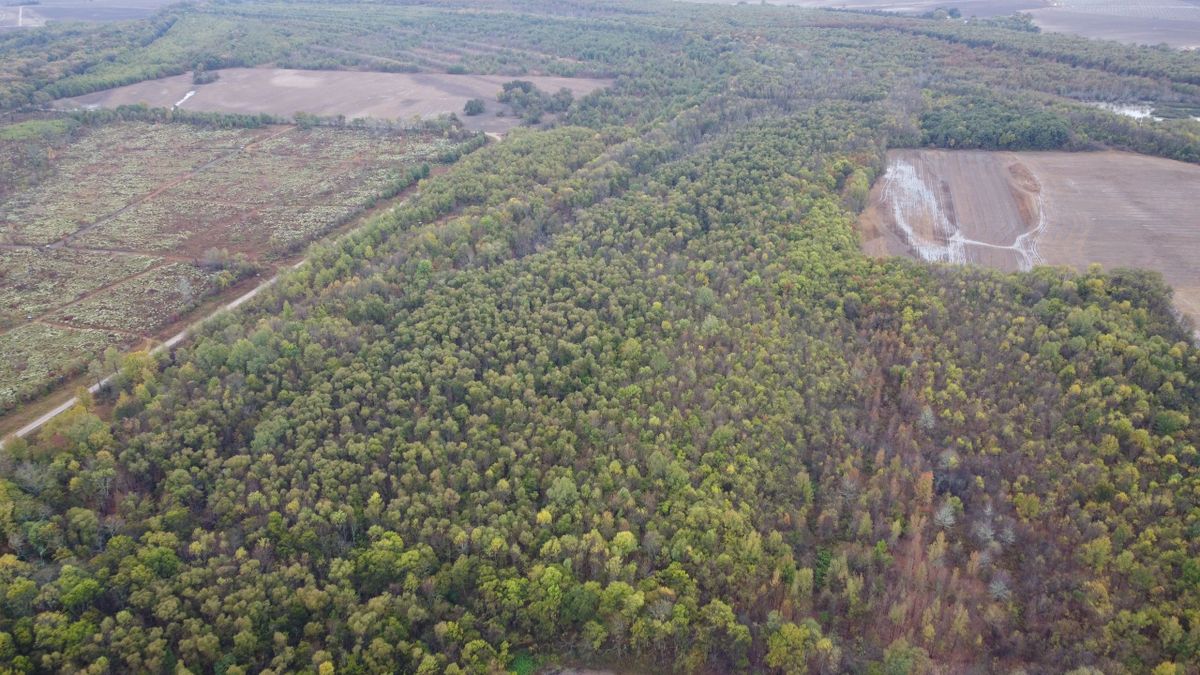 CRP Tract Deer And Duck Hunting With Good Income | Whitetail Properties