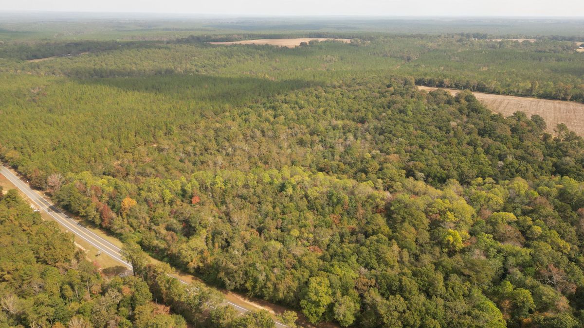 Prime Hunt Or Homesite Ground Situated Just Minutes From Town ...