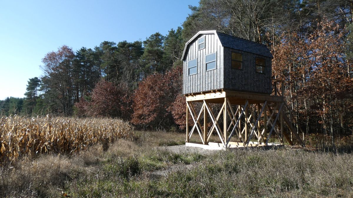 Mixed Crop And Wooded Hunting Parcel With Income | Whitetail Properties