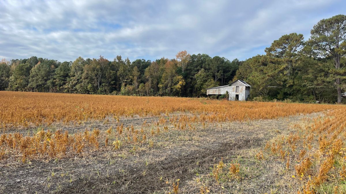 Mini Farm Outside Micro And Selma, NC | Whitetail Properties