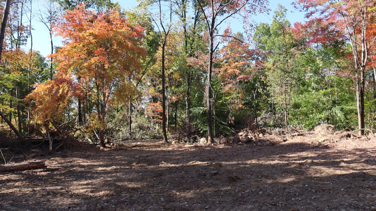 Wooded Acreage That Would Make A Good Country Home Site Or Getaway ...