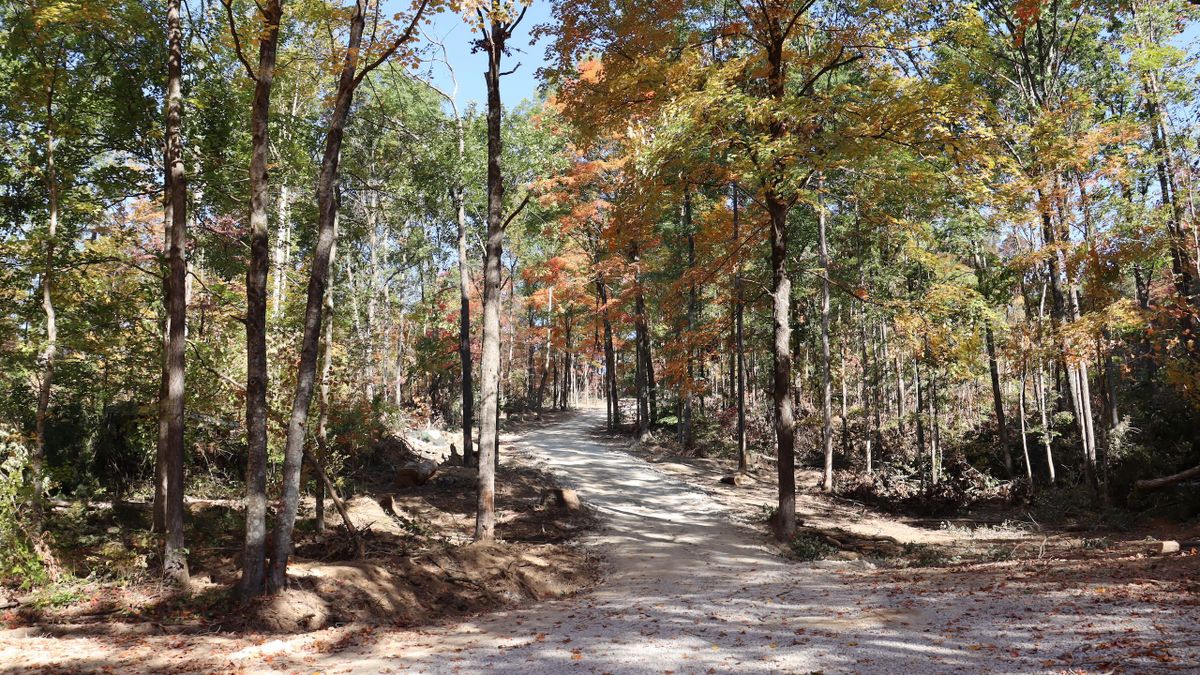 Wooded Acreage That Would Make A Good Country Home Site Or Getaway ...