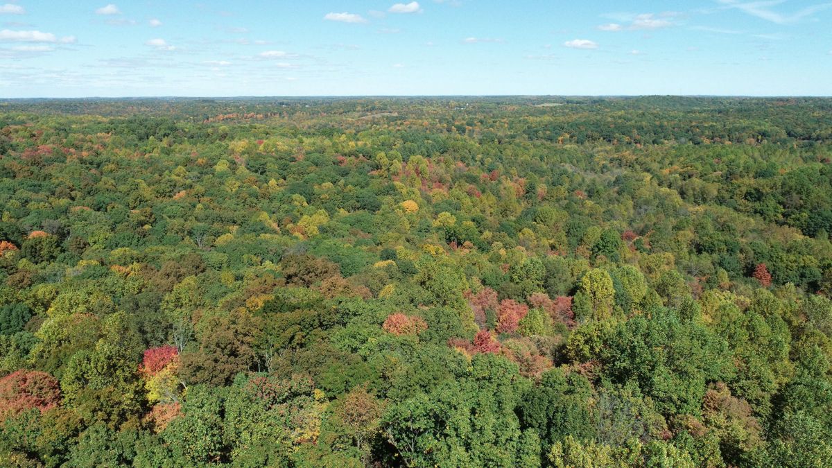 Wooded Acreage That Would Make A Good Country Home Site Or Getaway Spot ...