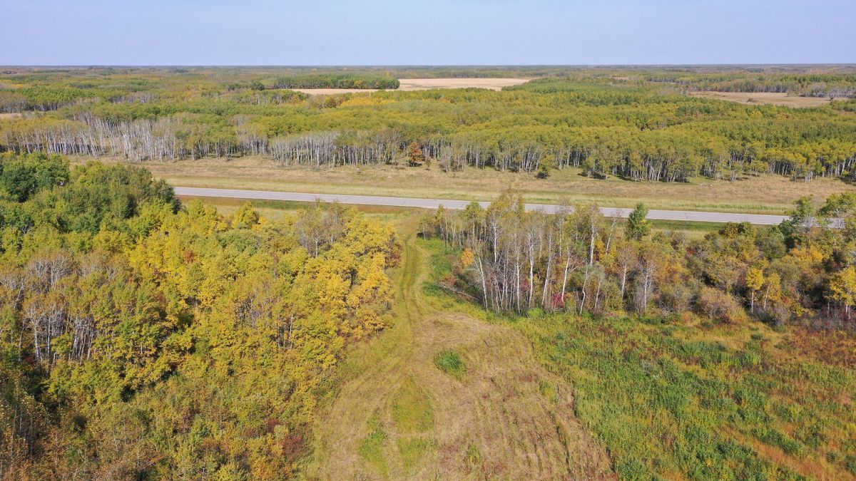 Hunting Property With Food Plot Potential In Northwest MN | Whitetail ...