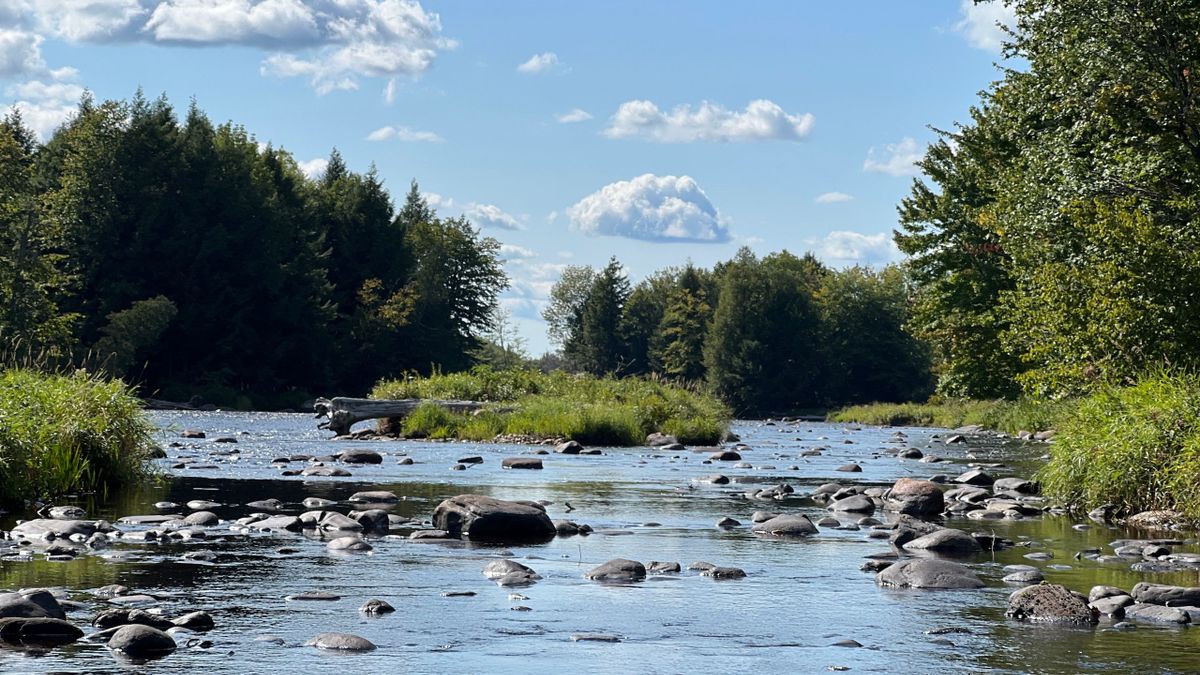 St. Regis River Front Access With An Off-Grid Cabin And Wooded Acres ...