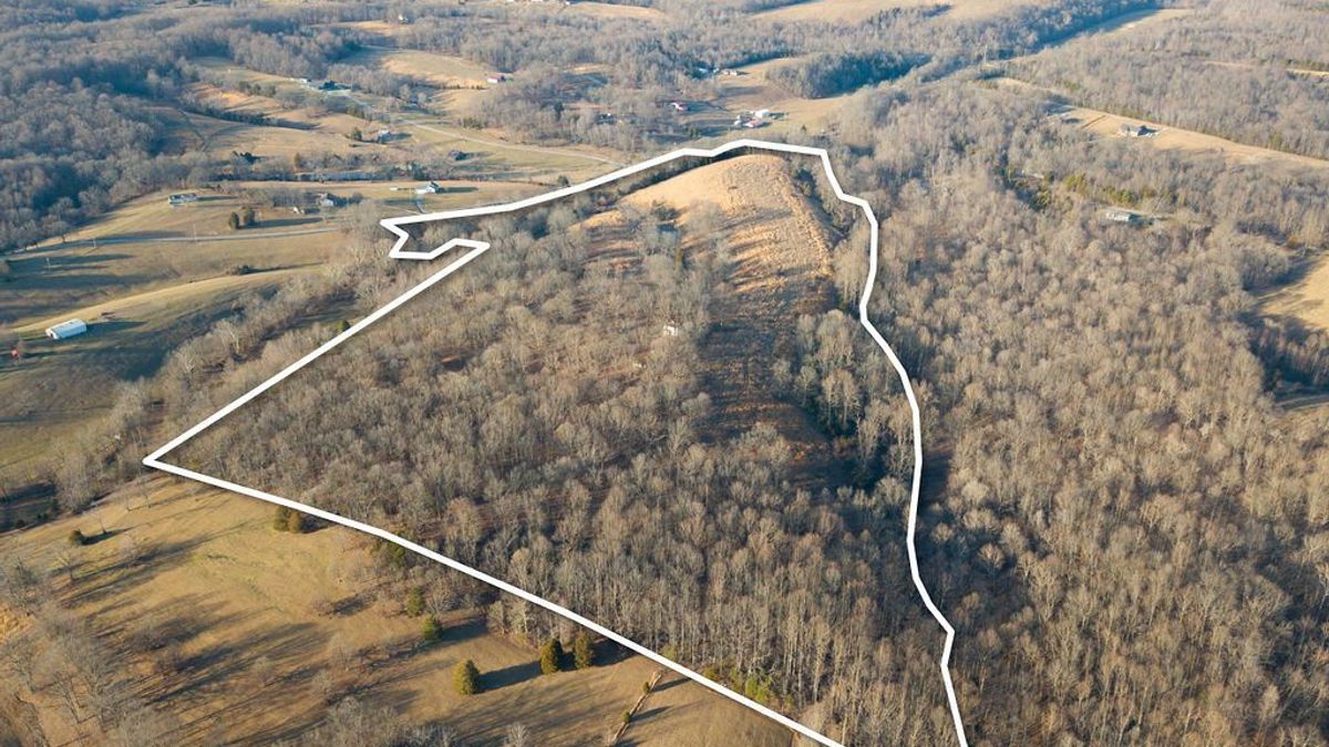 Rolling Farm With Mature Timber And Pasture Ground | Whitetail Properties