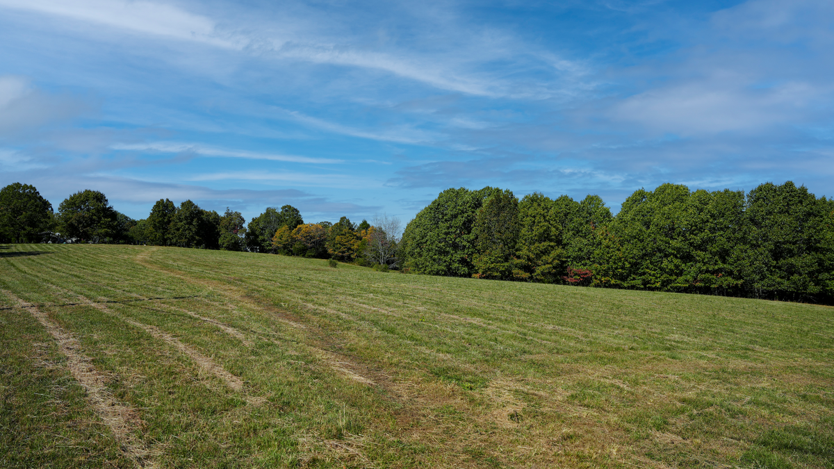 Pasture, Hunting And Rec Farm Near Table Rock Lake | Whitetail Properties