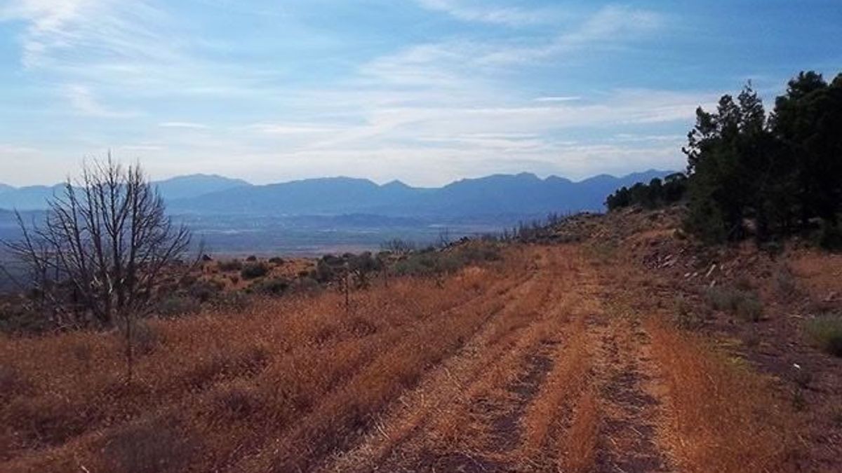 Eureka Mining Claim Mountain Lot 15 Pinon Canyon Seller Financing ...