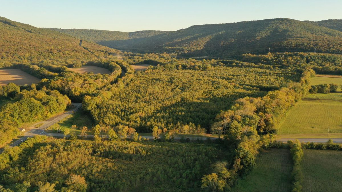 Deer, Turkey And Duck Hunting Tract On Paint Rock River | Whitetail ...