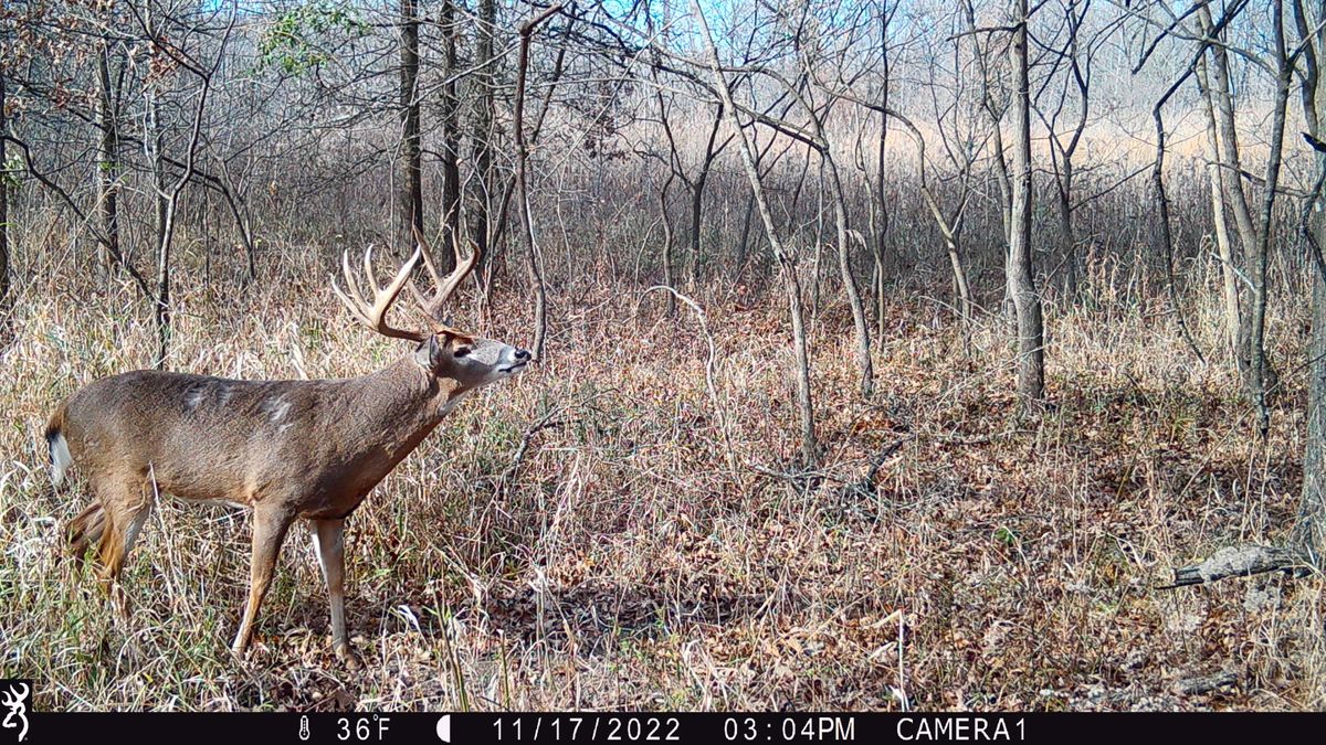 Turnkey Recreational Farm With Income Along The Embarras River ...