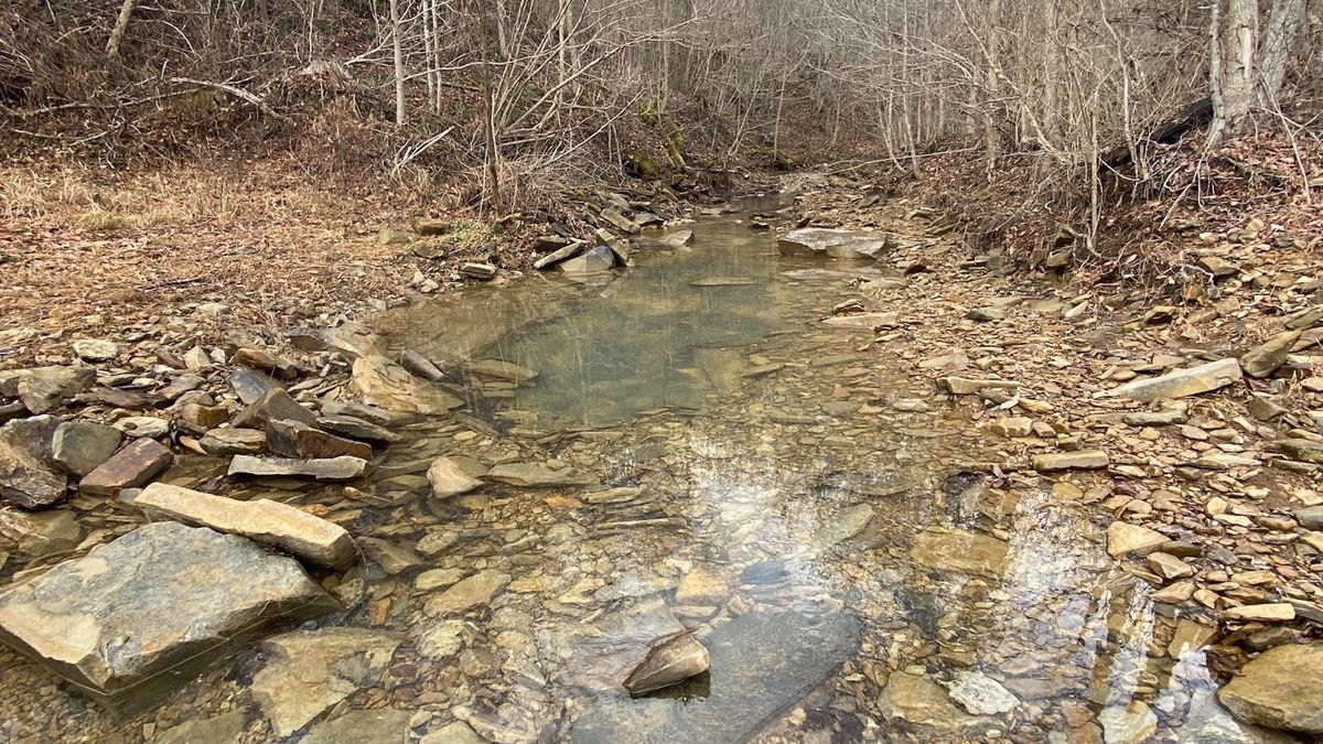 Super Affordable Recreation/Hunting Tract That Joins Shawnee State ...