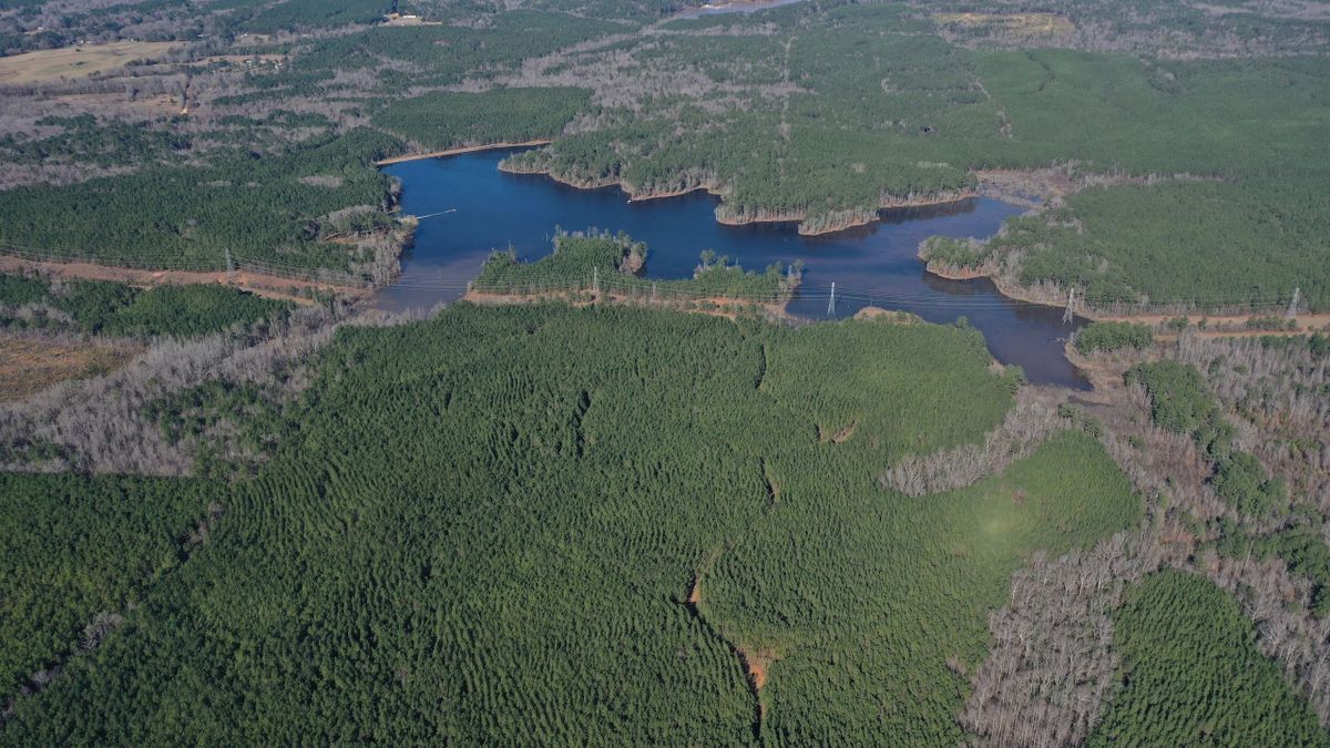 White's Lake And Timber | Whitetail Properties