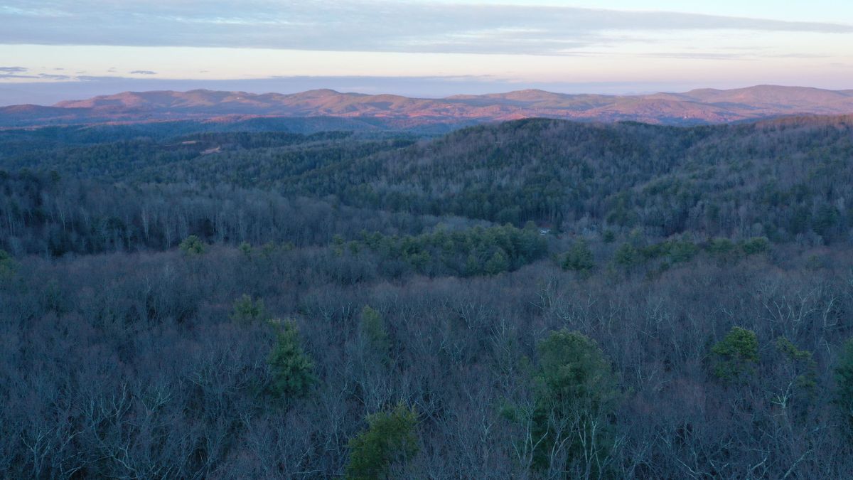 Landlocked Tract With Mature Timber | Whitetail Properties