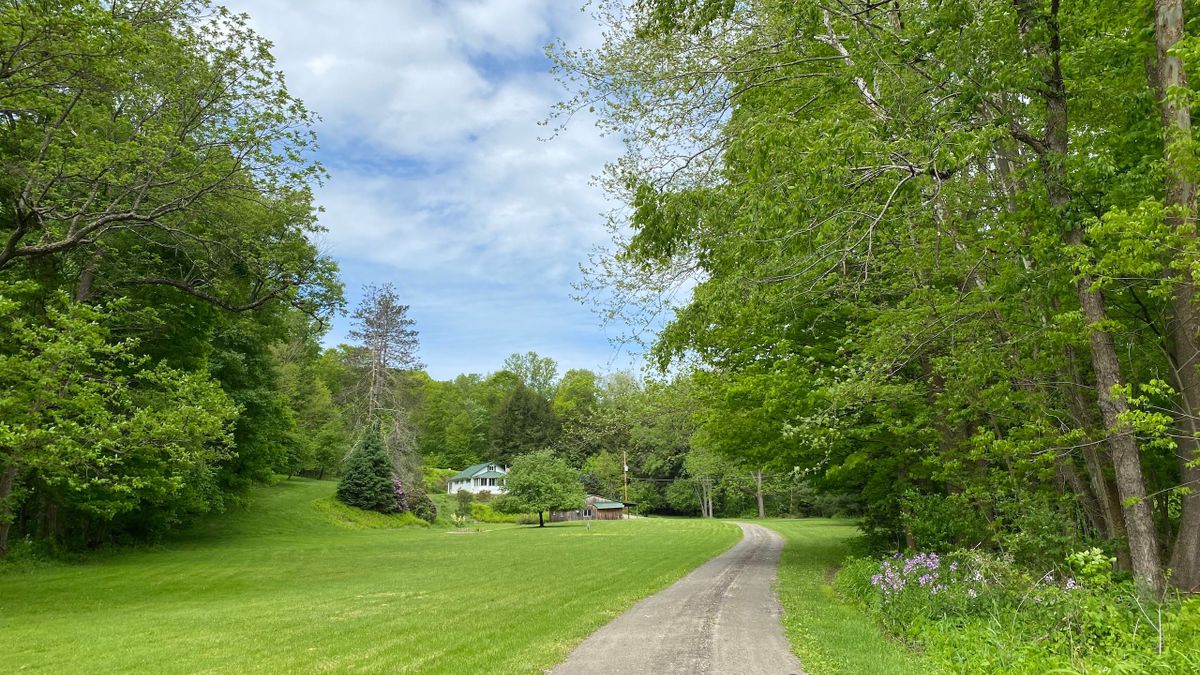 Remodeled Camp In A Secluded Setting With Trout Stream Frontage Near ...