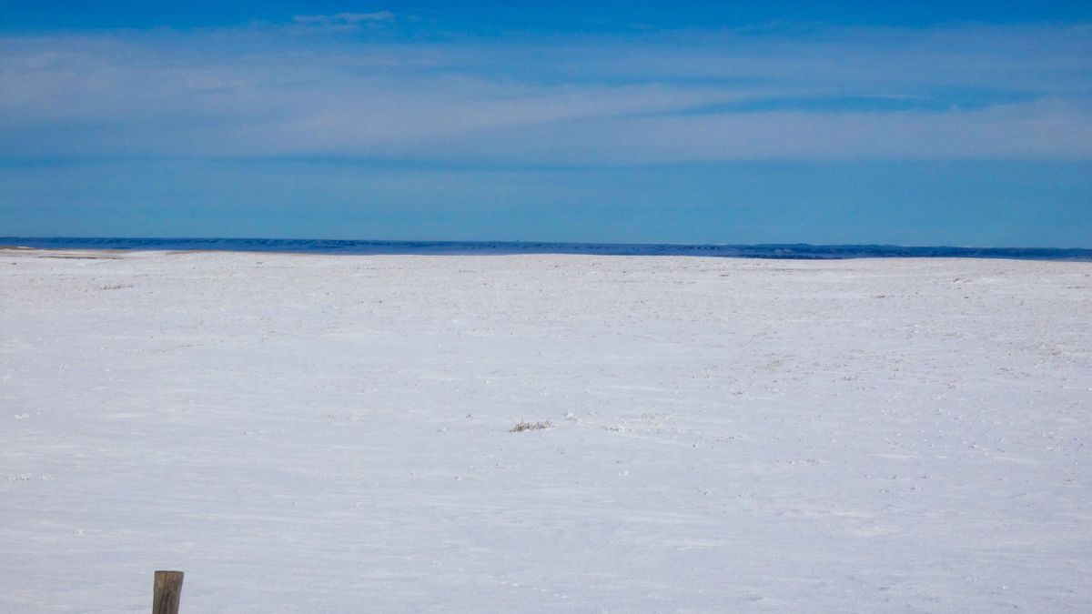 Pasture Property With Potential Tillable Soil Types | Whitetail Properties