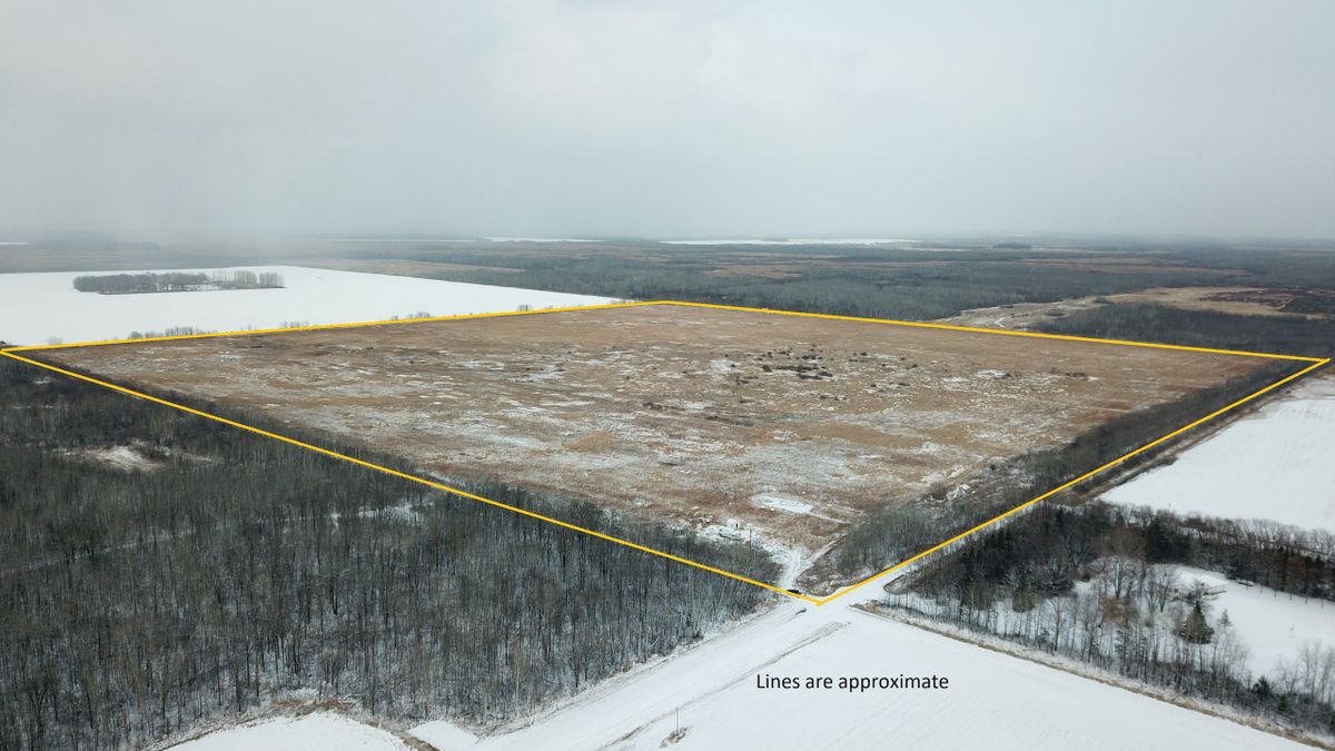 Excellent Deer And Bear Hunting Property With Building Site | Whitetail ...