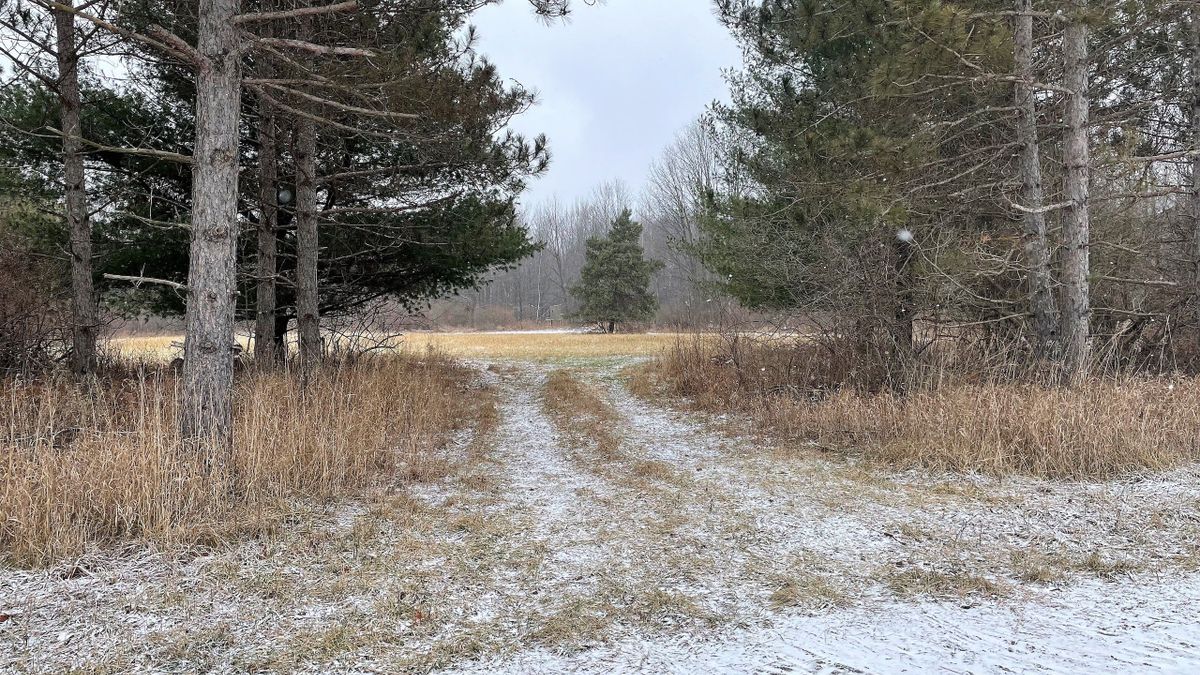 Great Multi-Use Property Near Deford State Game Area In MI | Whitetail ...