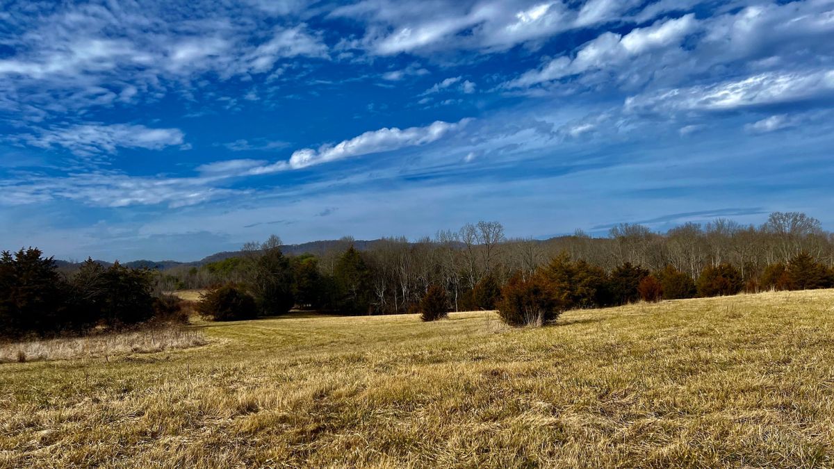 Gentle Rolling Farm That's Unrestricted, Secluded With Multiple ...
