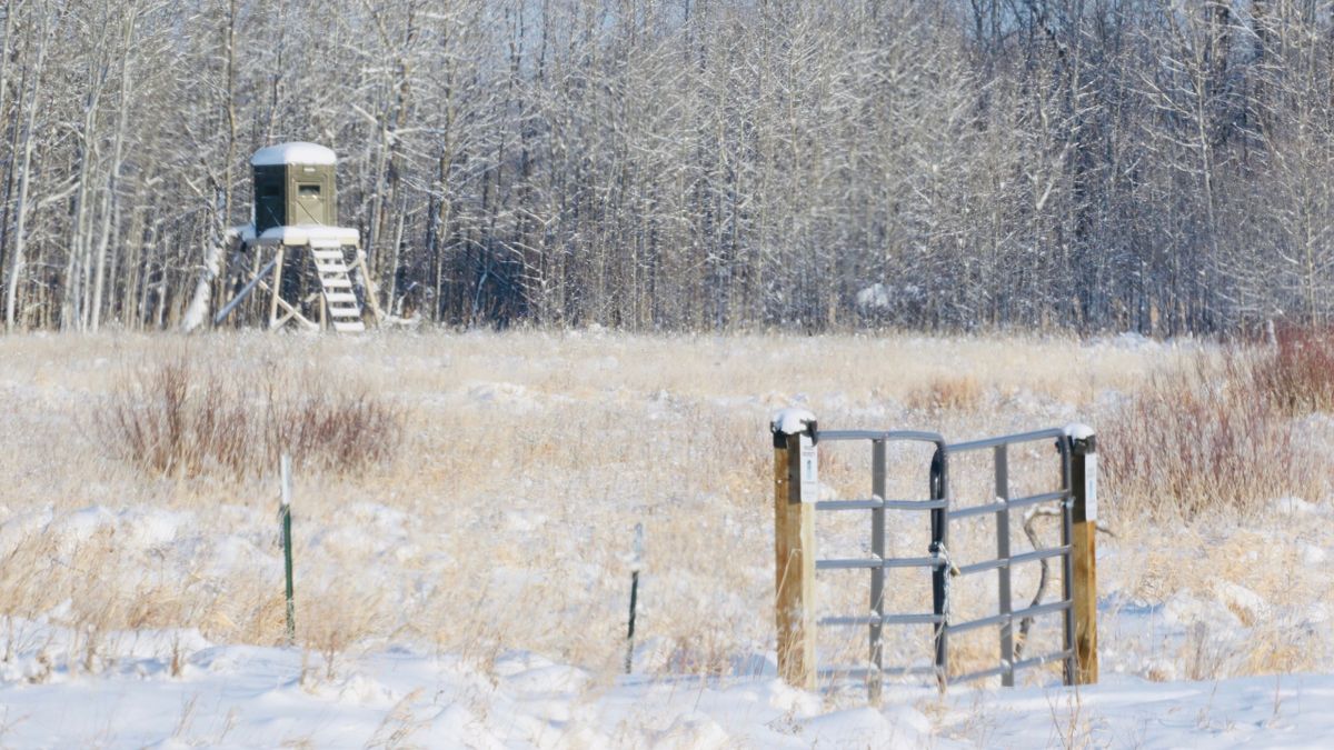 Income-Producing, Trophy Whitetail Hunting With Building Site ...