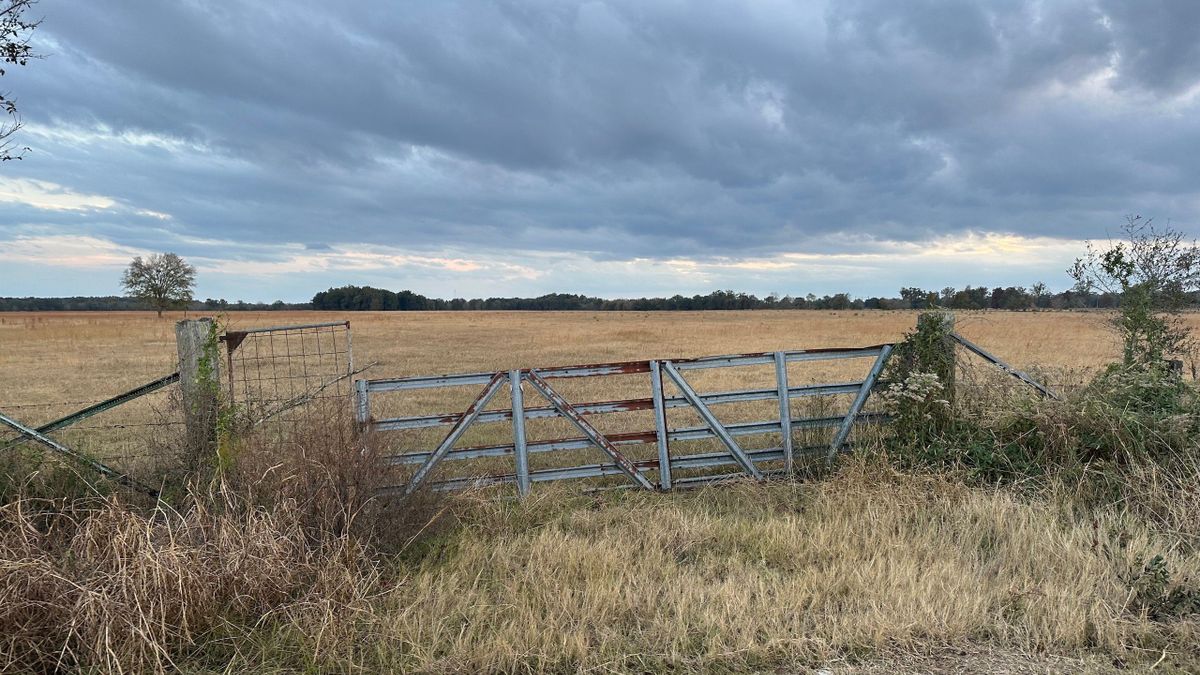Fenced Pasture Perfect For Cattle Or Horses | Whitetail Properties