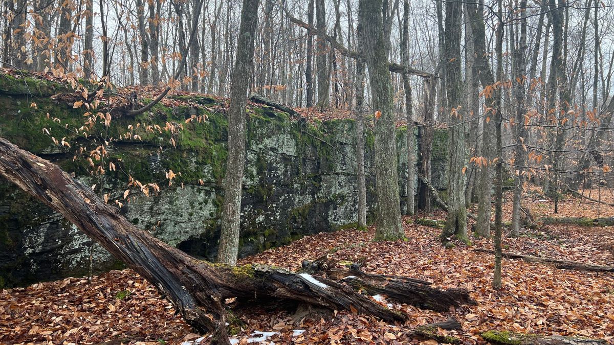 Beautiful Land With Stone Walls And Natural Rock Ledges | Whitetail ...